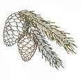 Sizzix Thinlits Die Set 4PK Pine Branch by Tim Holtz - Walmart.com