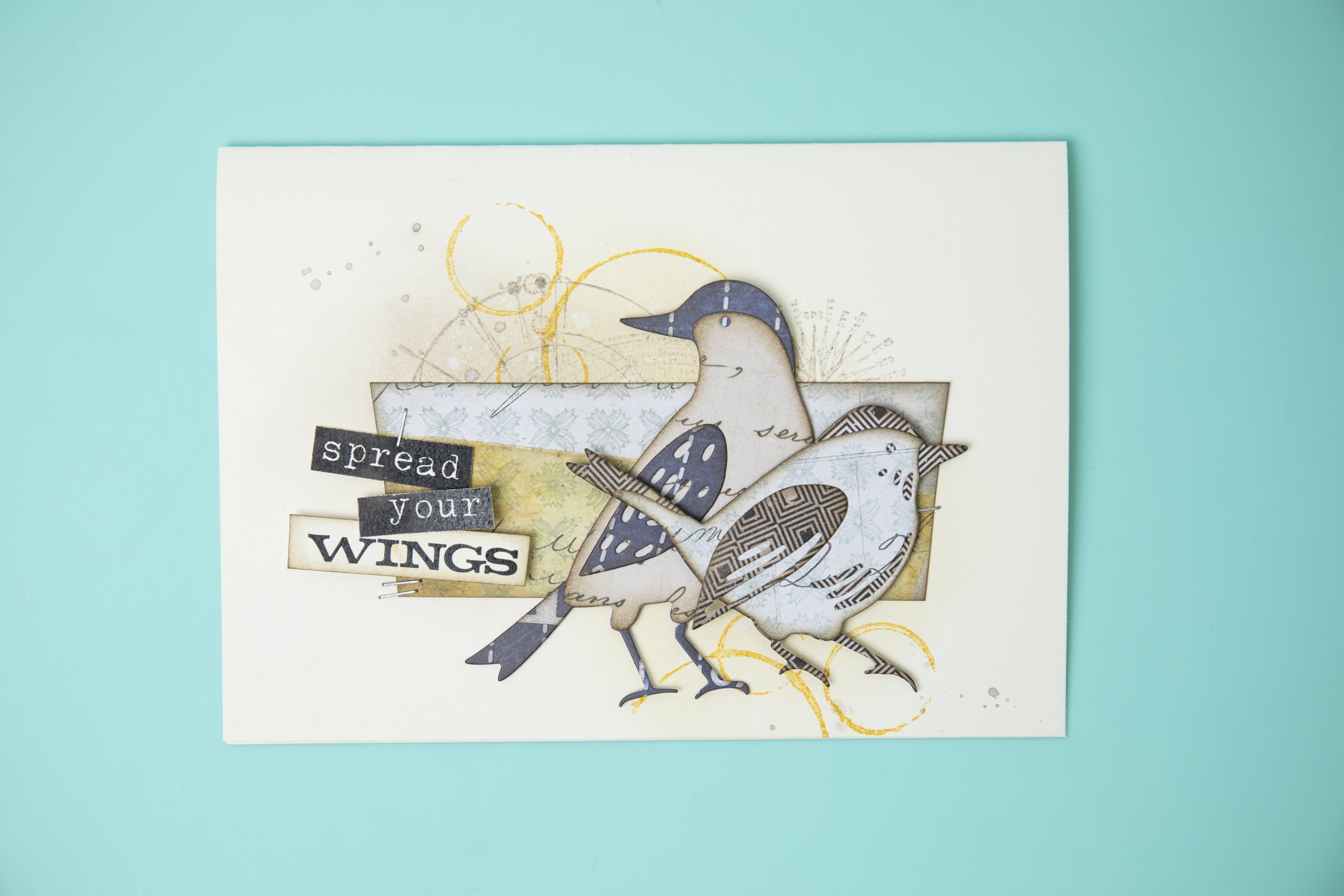 Sizzix Thinlits Dies - Feathered Friends by Tim Holtz - Walmart.com