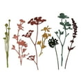 Sizzix Thinlits Dies - Wildflowers #1 by Tim Holtz - Walmart.com