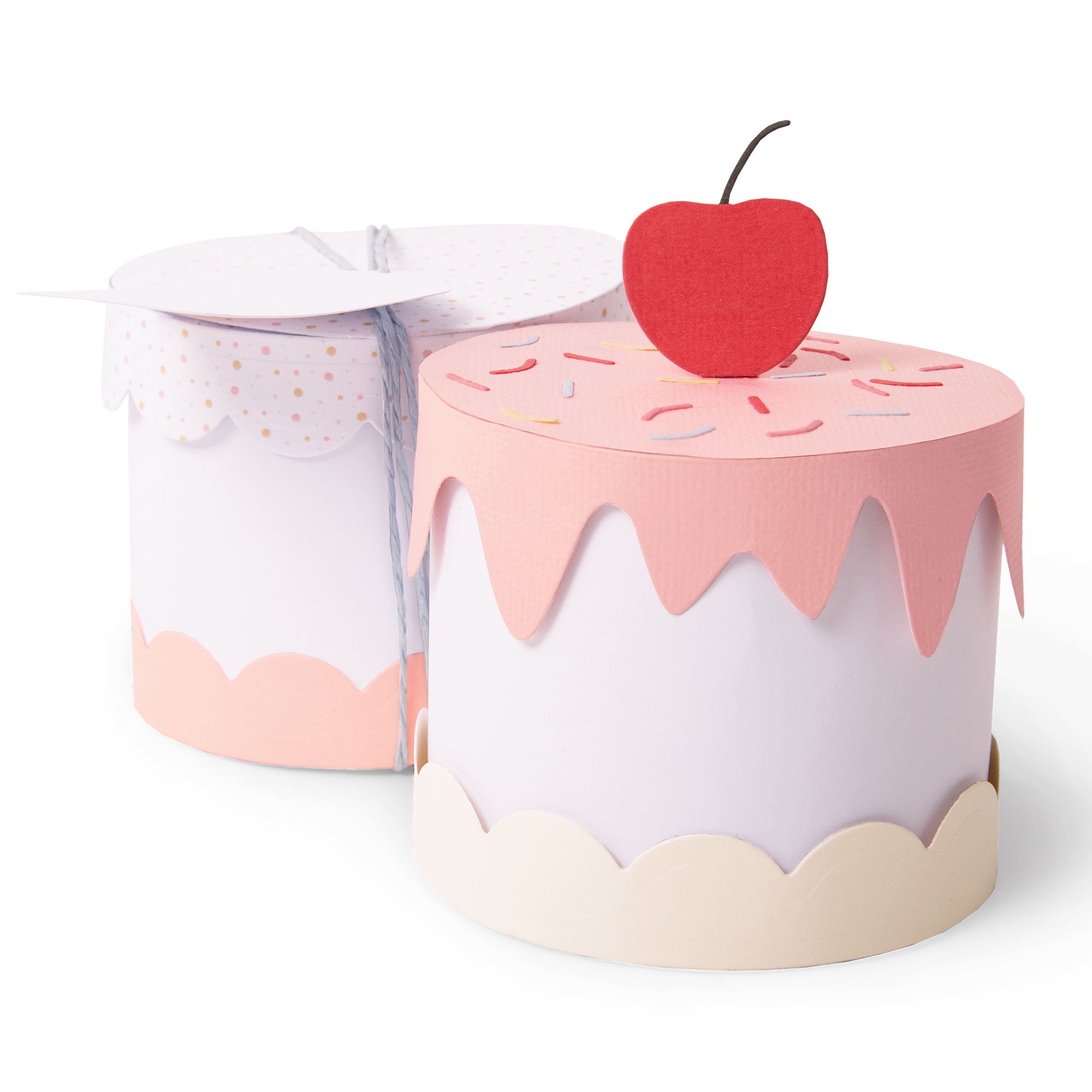 Sizzix Thinlits Plus Die Set 11 Pack, Cake Box by Georgie Evans - Walmart.com