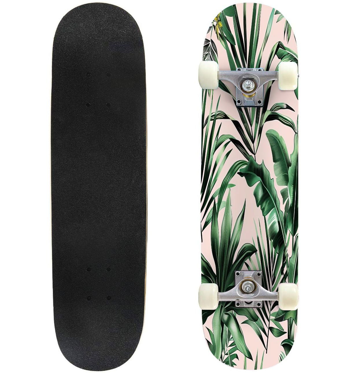 Skateboards for Beginners Green tropical palm banana leaves shadow ...