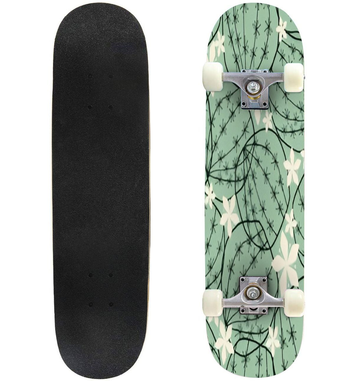 Skateboards for Beginners Round blooming cactus hand drawn line art ...