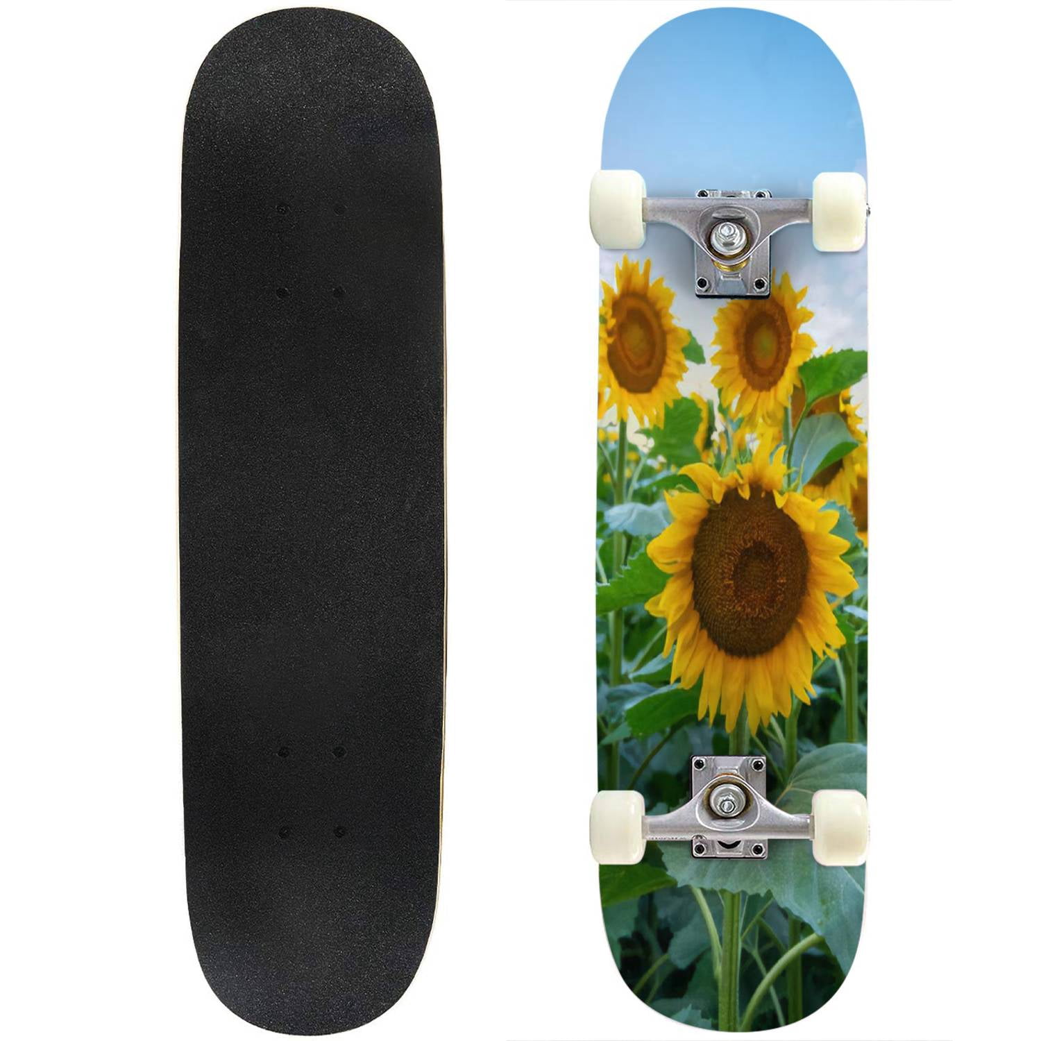 Skateboards Sunflower field early morning Miami County Indiana Maple ...