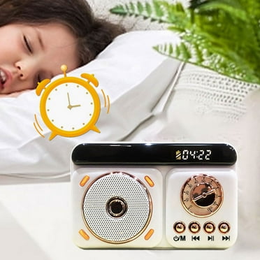 Sonic Alert BD4000 - Alarm clock - electronic - desktop, wall mountable ...