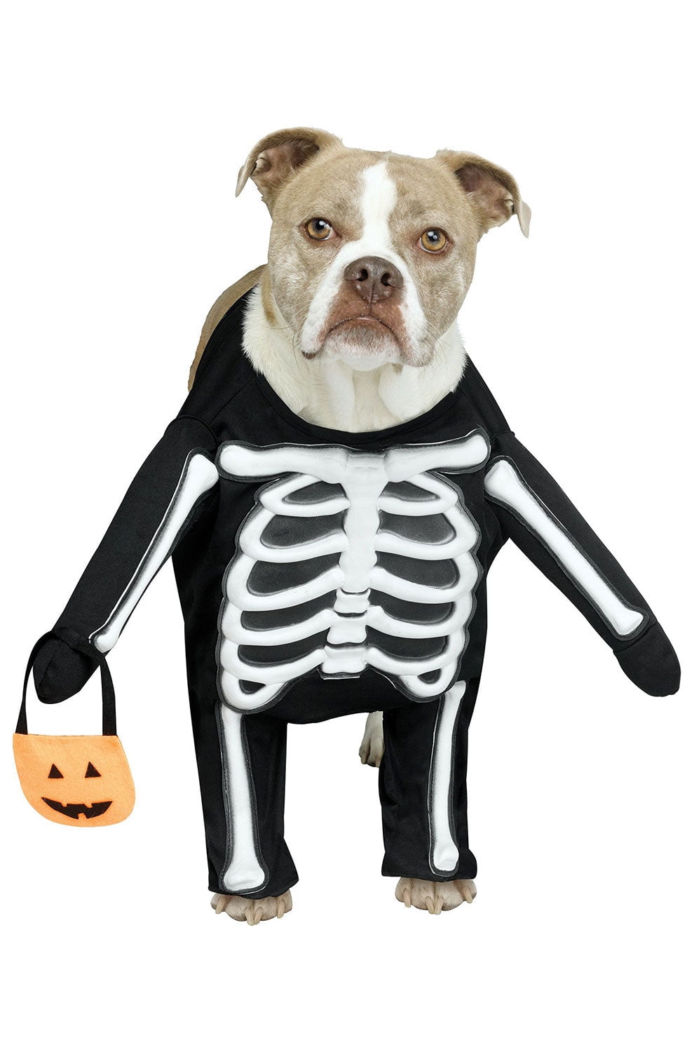Skele-Dog Pet Costume - Walmart.com