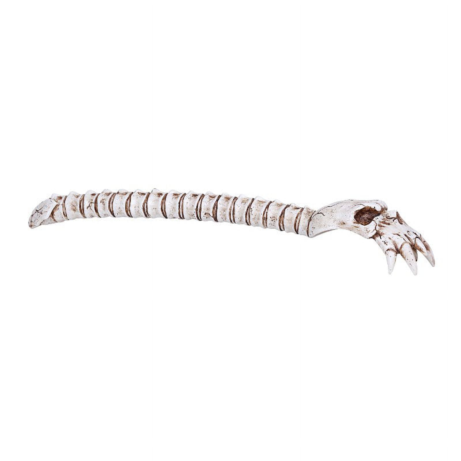 Skeleton Bone Back Scratcher Resin Skull Head Tail Bone - Walmart.com