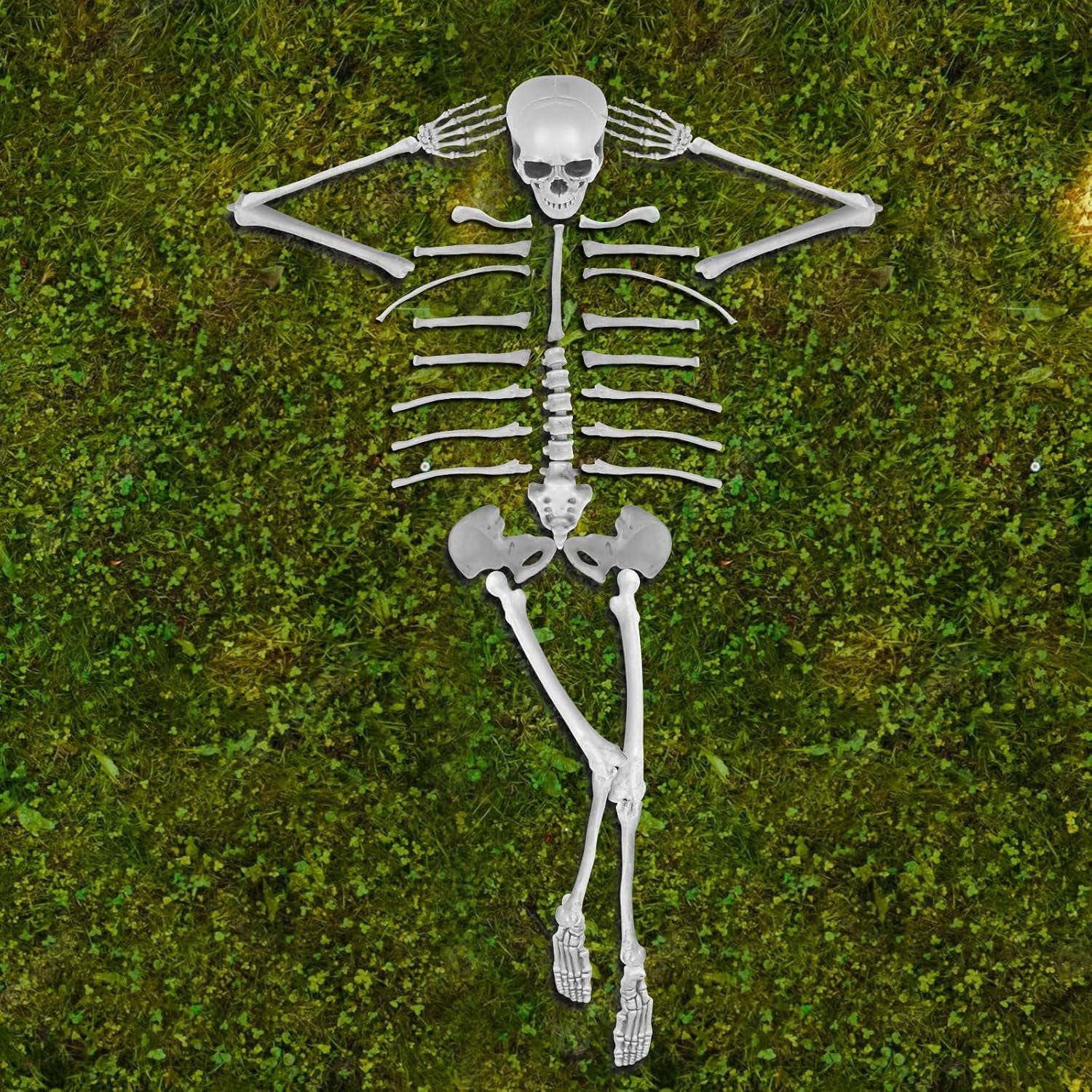 Skeleton Bones for Outdoor Halloween Decorations - Plastic Life-Size ...