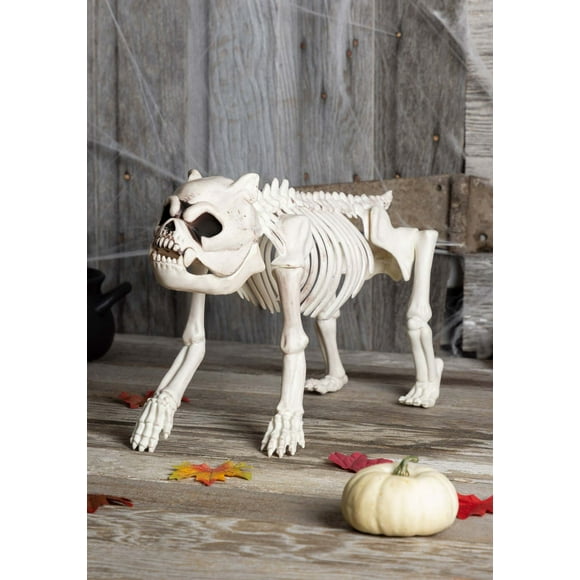 Dog Skeleton