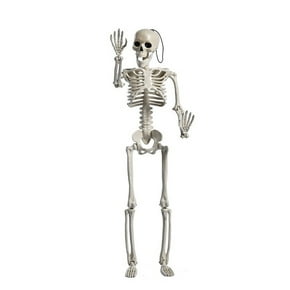 Mini Skeleton