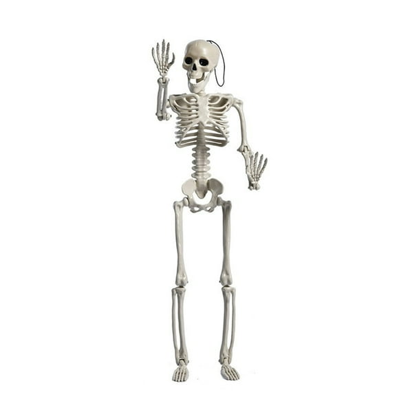 Mini Skeleton