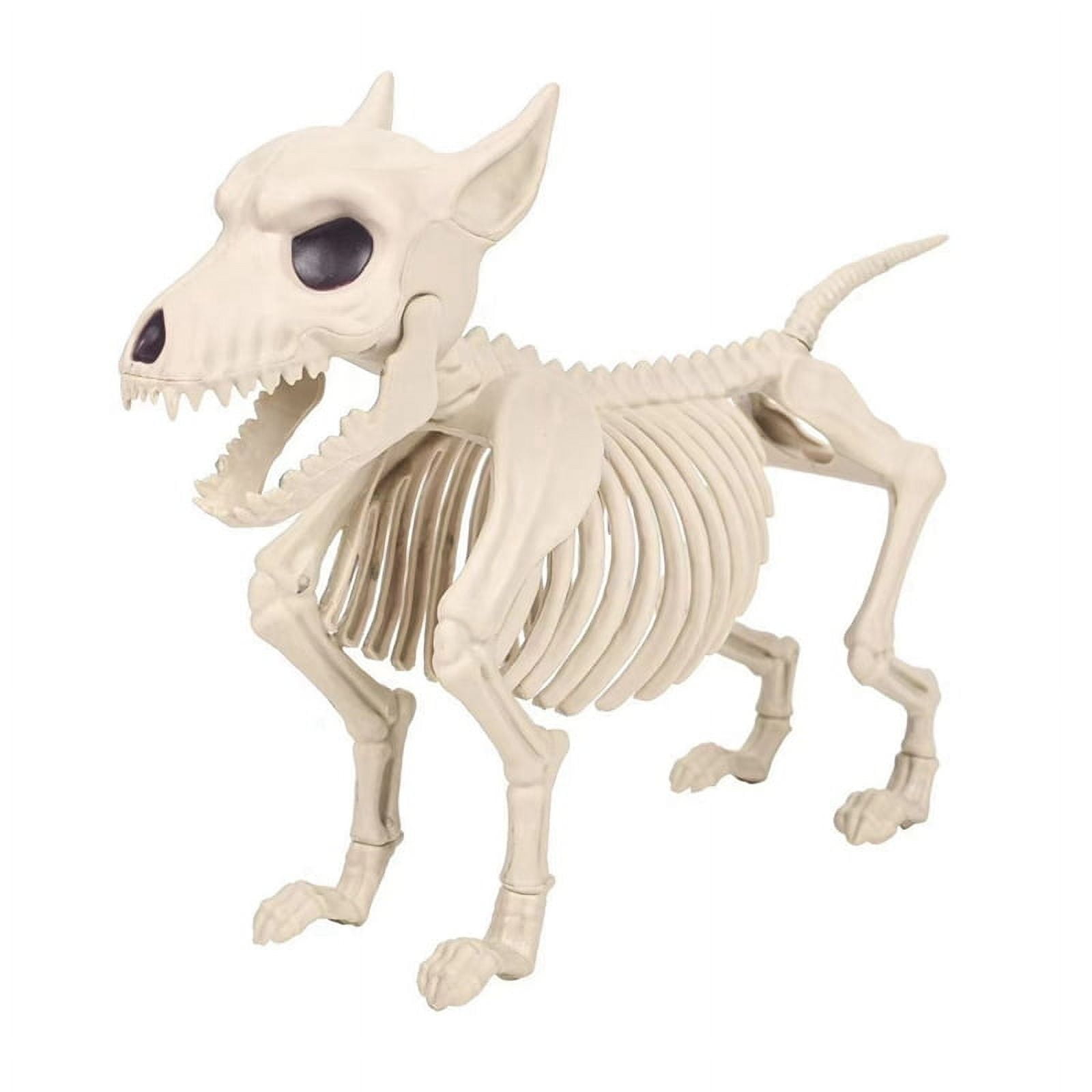 Skeleton Dog Halloween Decorations - Posable Skeleton Animals Skeletons ...
