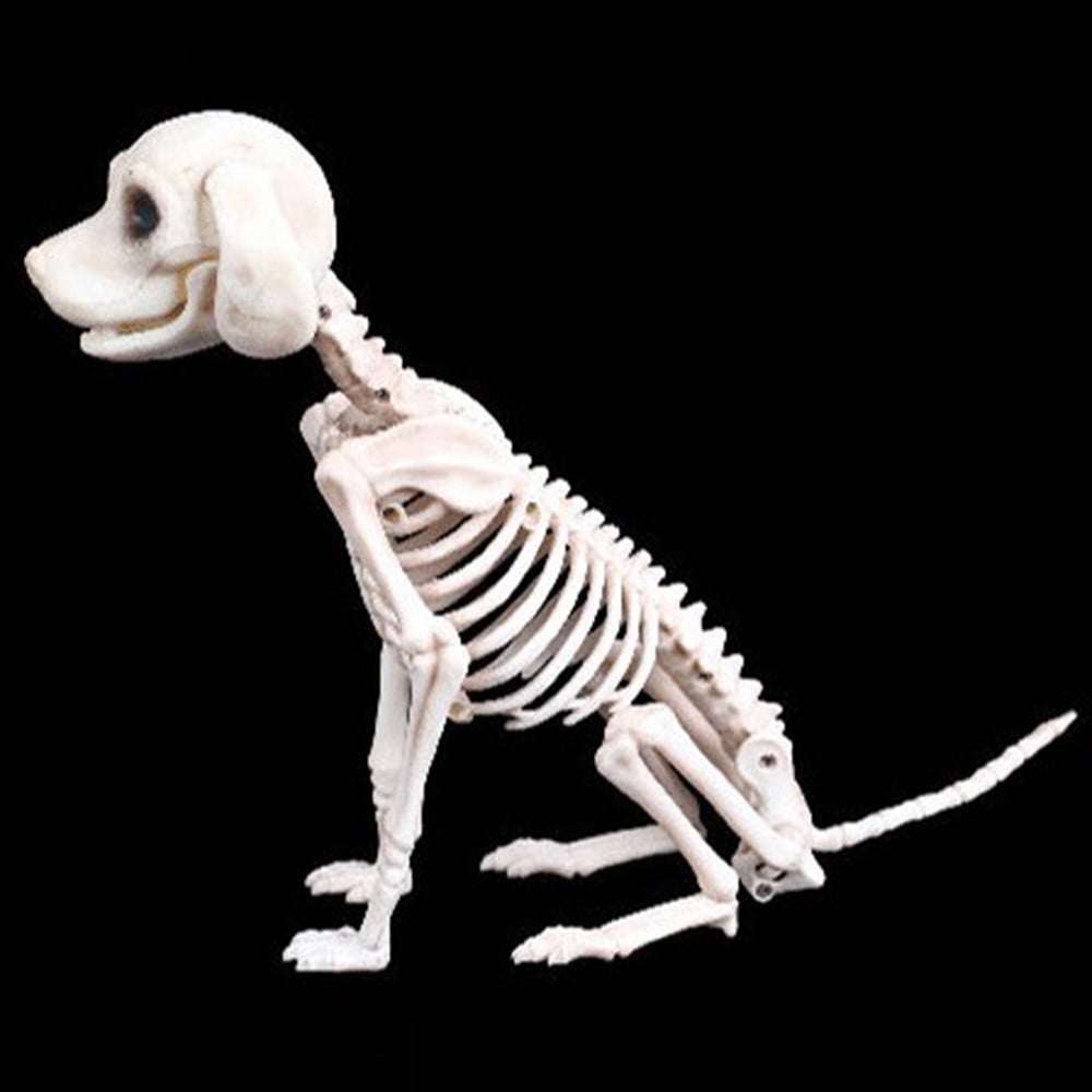 Skeleton Dog Prop Animal Bones Party Shop Decoration for Toddlers 1-3 ...
