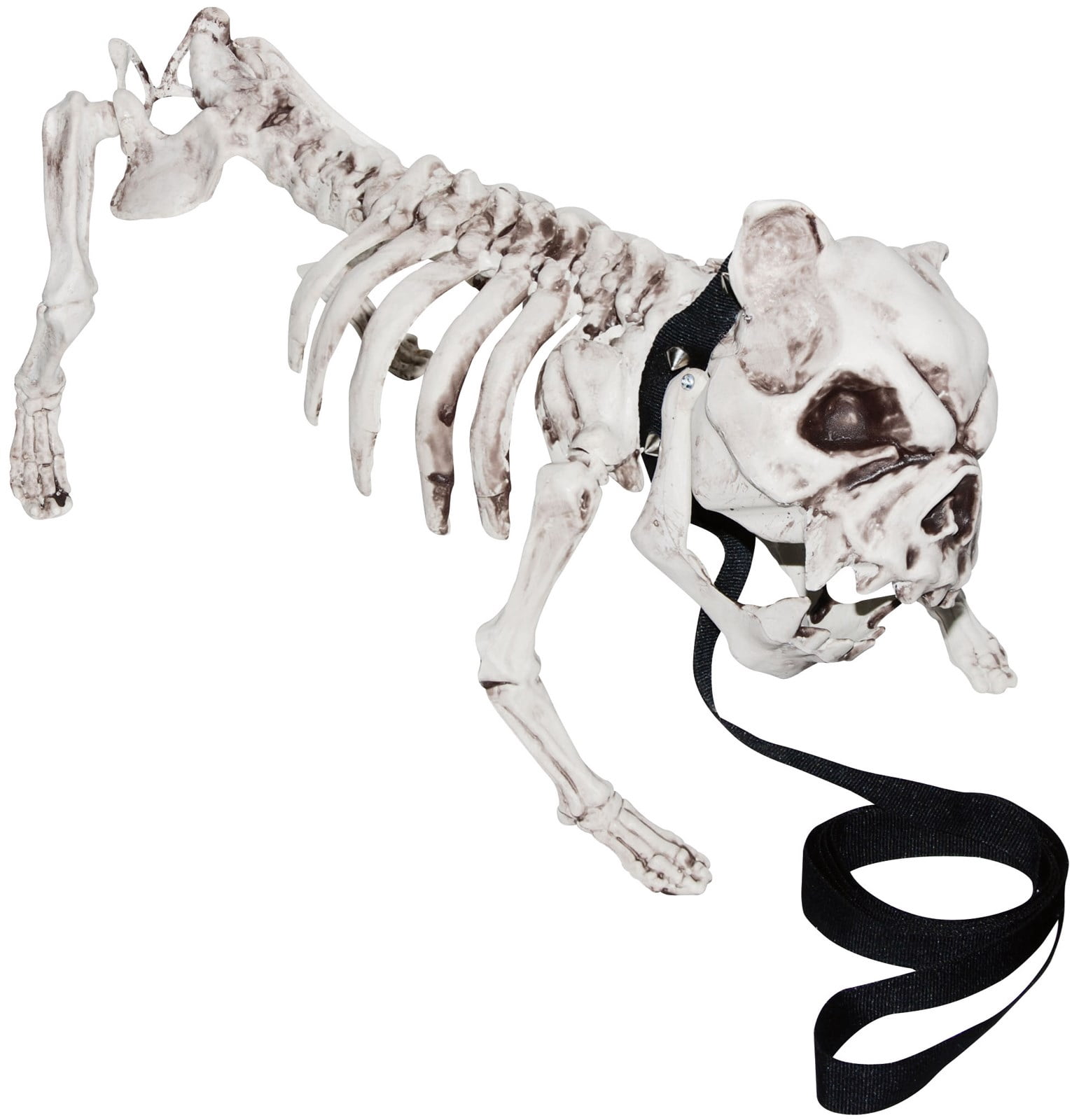 Halloween Decoration: Spooky Bulldog Skeleton Dog with Leash for Indoor ...