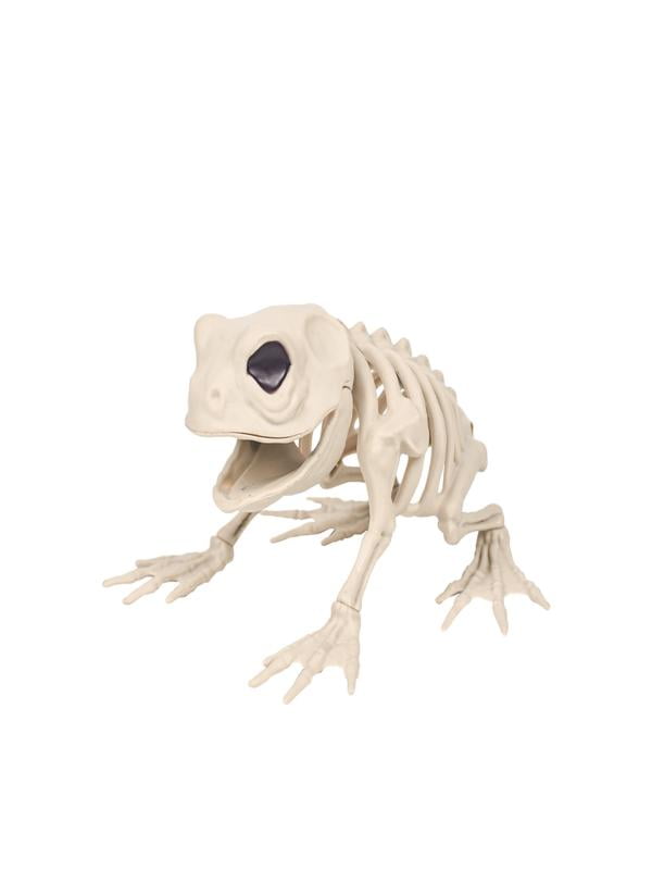 Skeleton Frog Halloween Decor Model, Plastic Animal Frogs Skull Frog ...