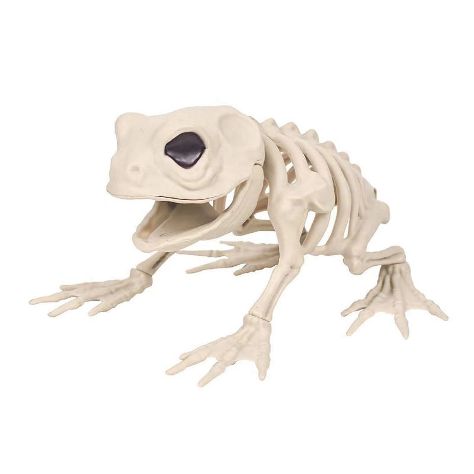 Skeleton Frog Halloween Decorations - Posable Skeleton Animals ...