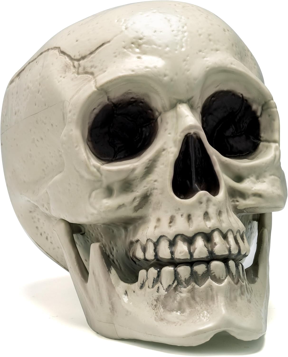 Skeleton Halloween Decorations, Life Size Human Skull Model Indoor ...