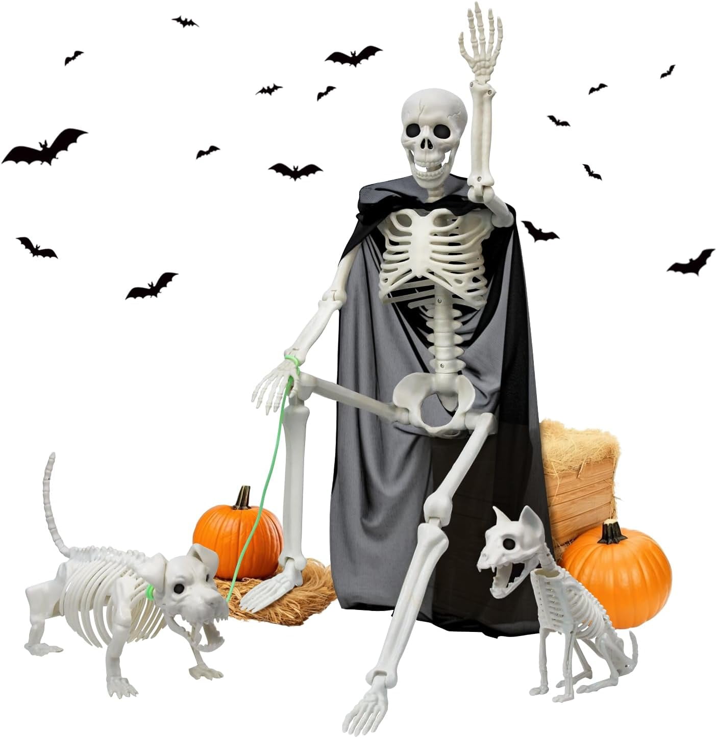 Skeleton Halloween Decorations, Posable Skeletons with Dog and Cat ...