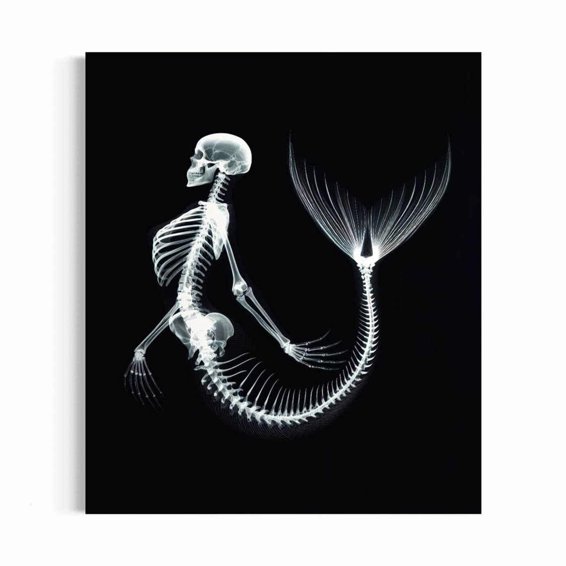 Skeleton Mermaid Print, Mermaid Wall Decor, Skeleton Illustration ...