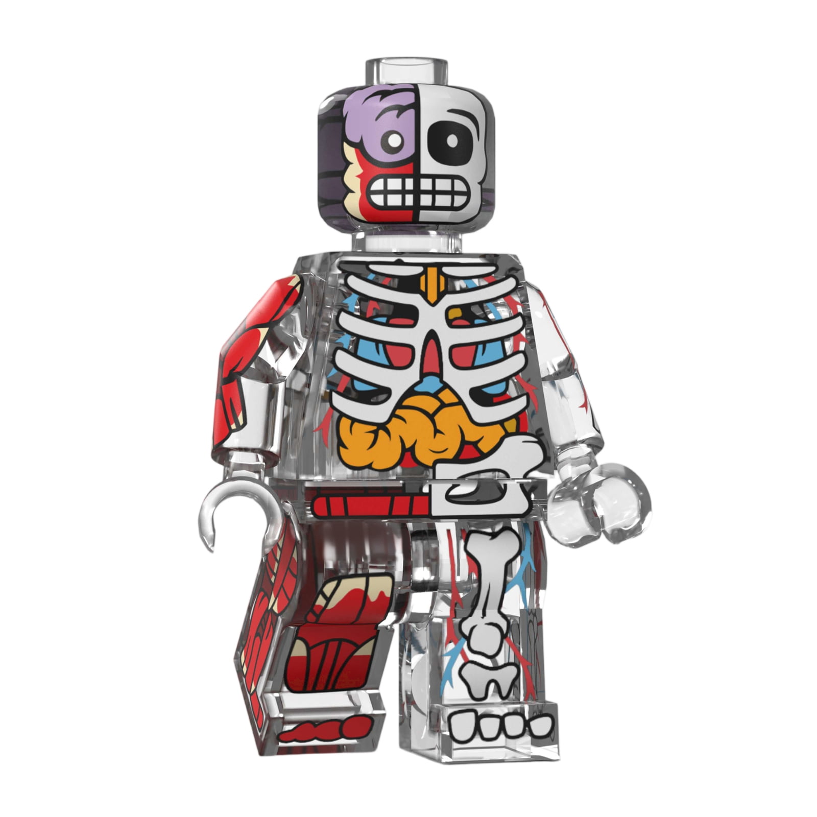Skeleton Minifigures Collectible Toys, Child Skeleton Minifigure ...