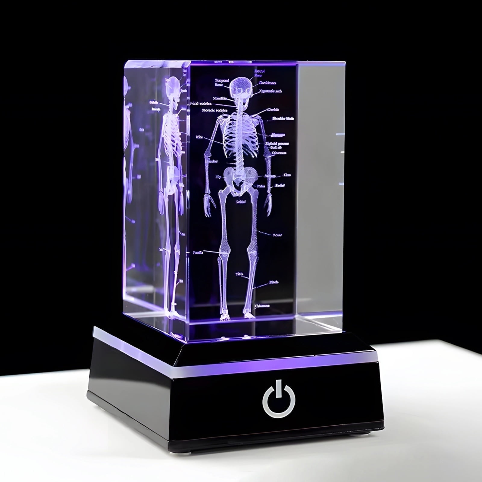 3D Crystal Human Skeleton Anatomy Model, Laser Etched Science Biology ...