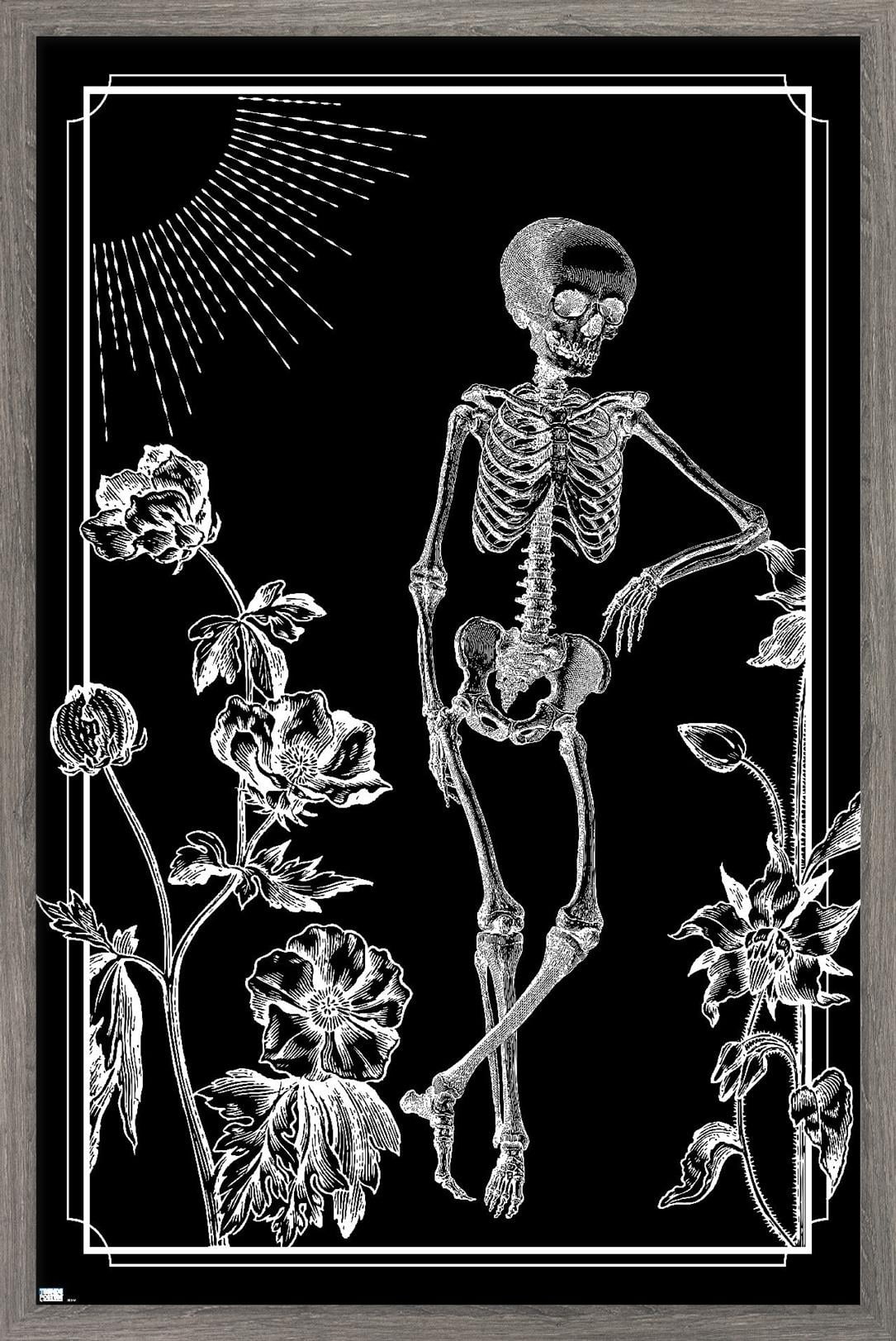 Skeleton - Nature Wall Poster, 22.375" x 34" Framed - Walmart.com