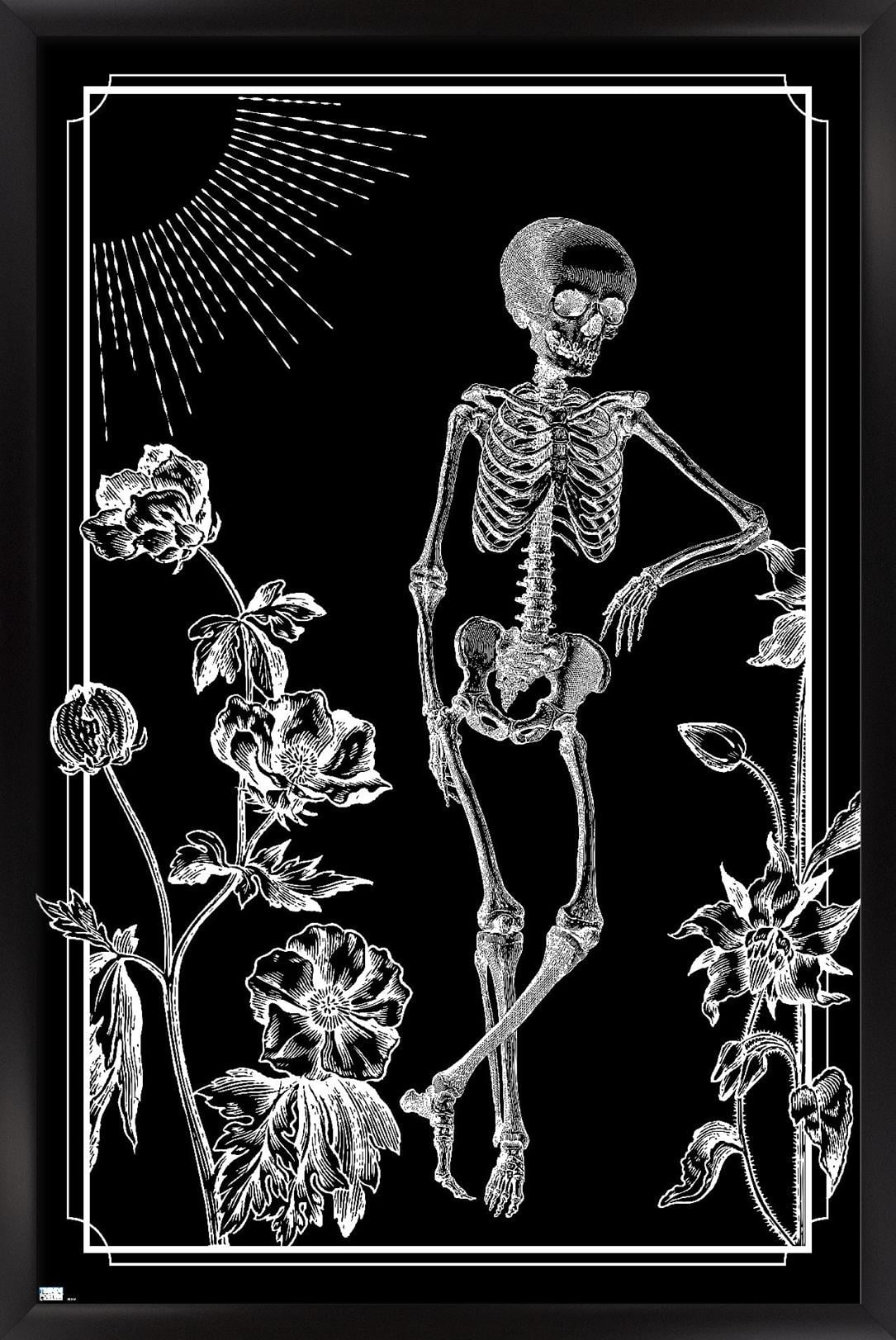 Skeleton - Nature Wall Poster, 22.375" x 34" Framed - Walmart.com