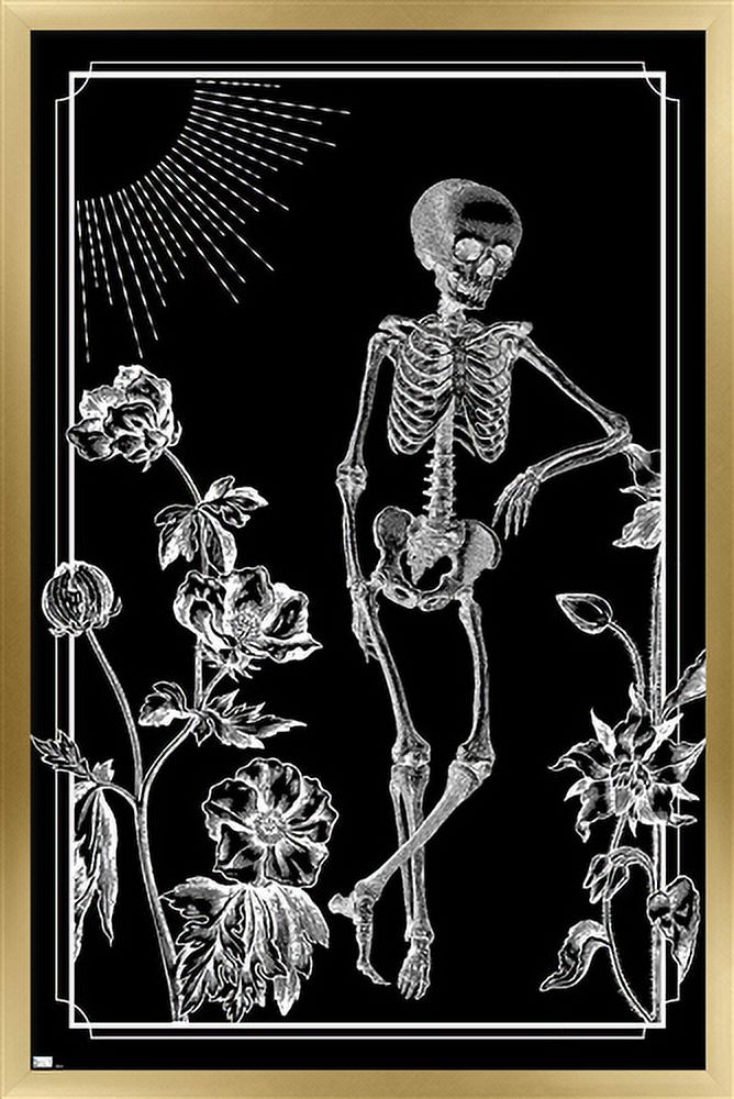 Skeleton - Nature Wall Poster, 22.375" x 34" Framed - Walmart.com
