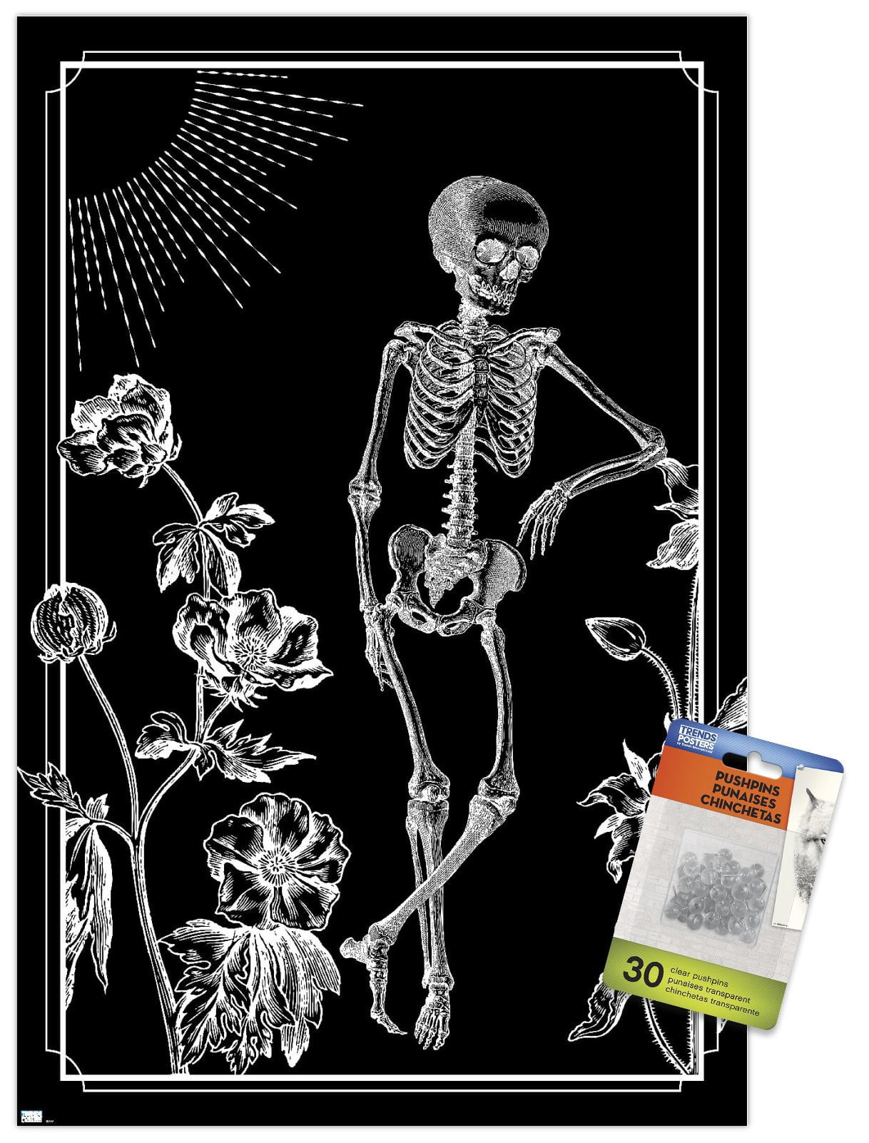Skeleton - Nature Wall Poster with Push Pins, 14.725" x 22.375 ...