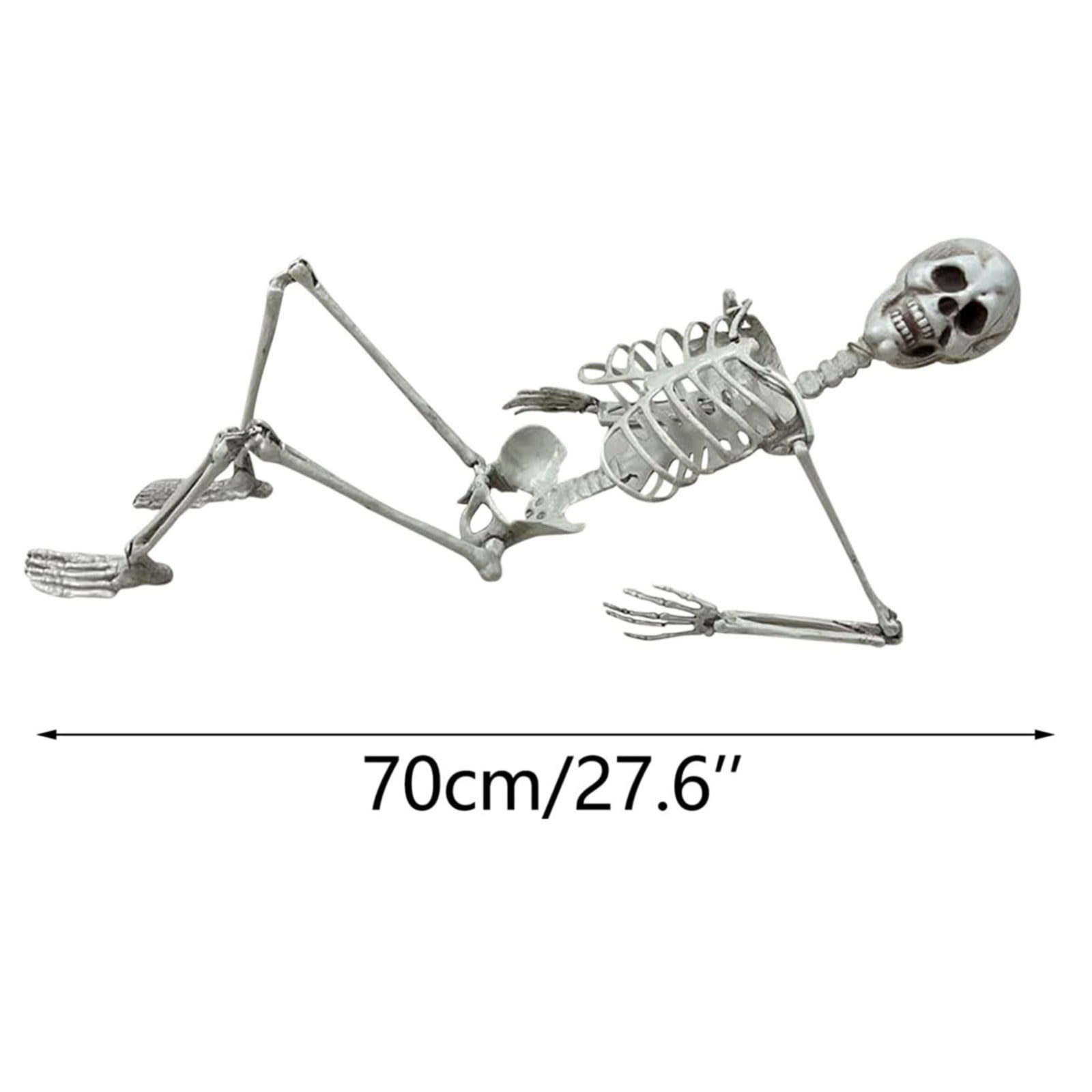 Skeleton Prop Deco Skeleton Life Size Full Body Posable Joints ...
