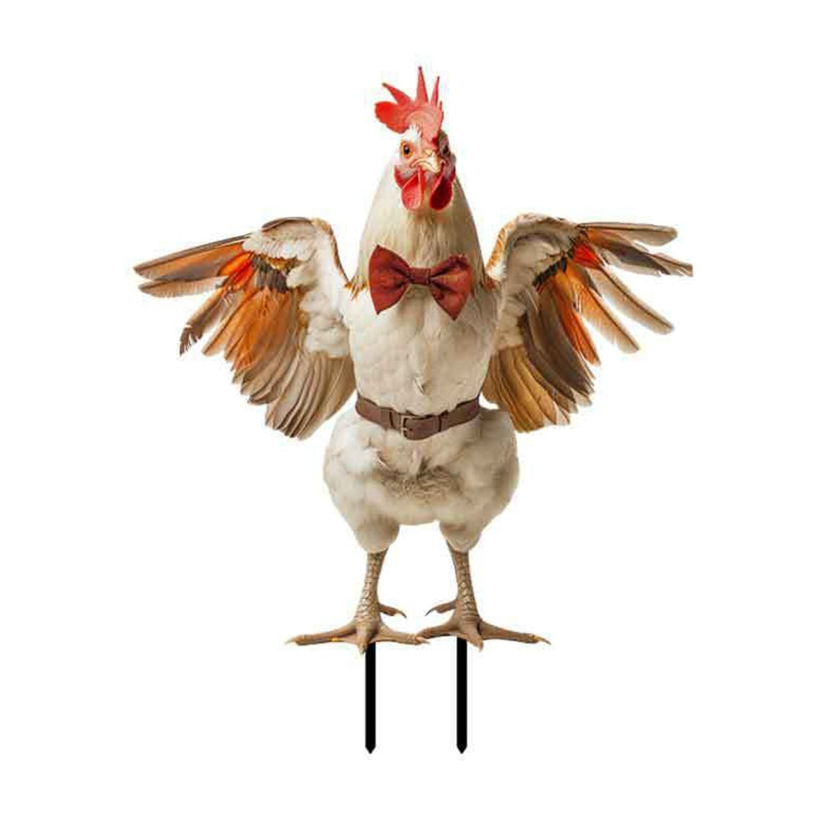 Skeleton Riding Rooster Yard Sign - 2D Metal Halloween Chicken ...