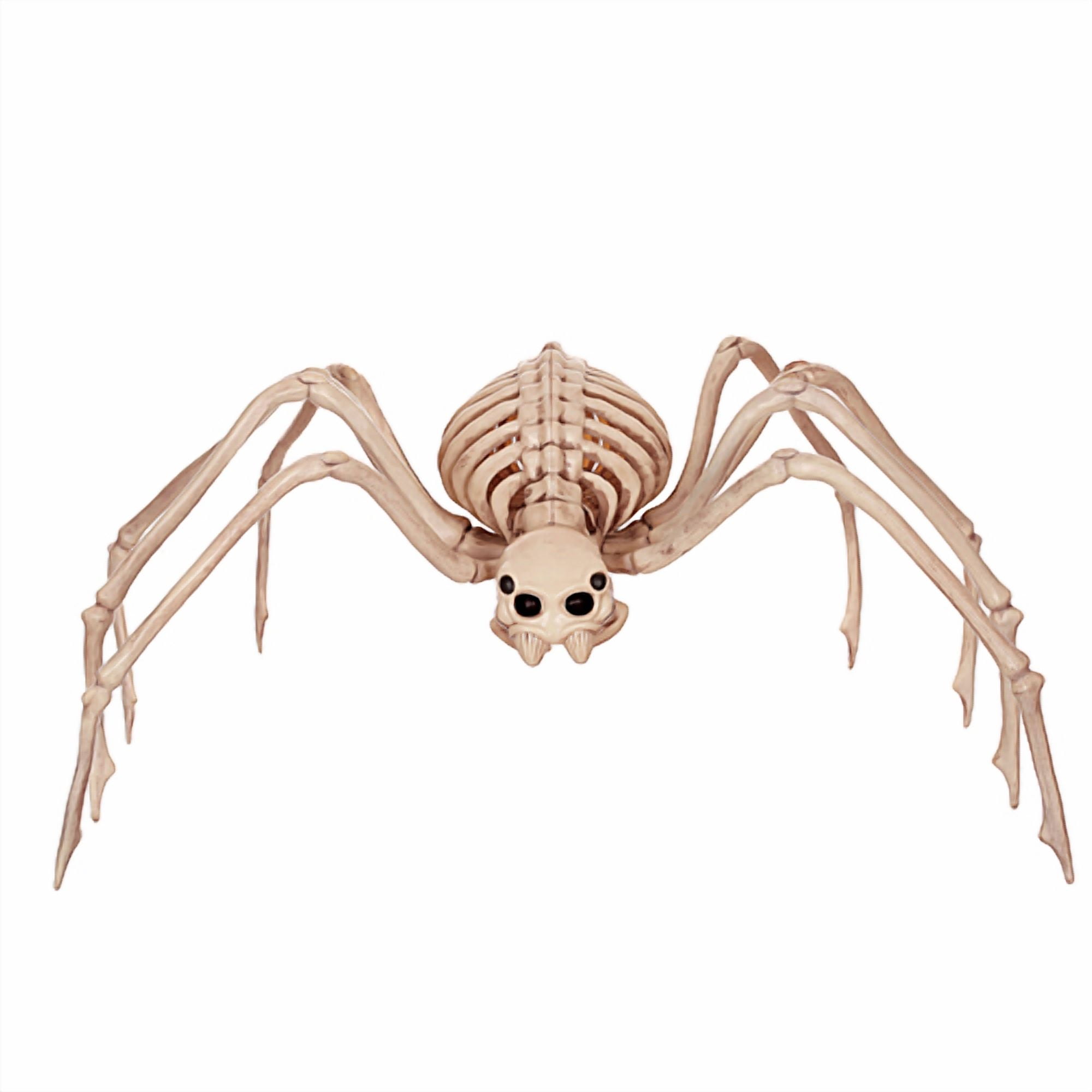 Giant Skeleton Spider - Walmart.com