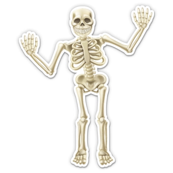Skeleton Spooky Looking - 8" Vinyl Sticker - For Car Laptop I-Pad ...