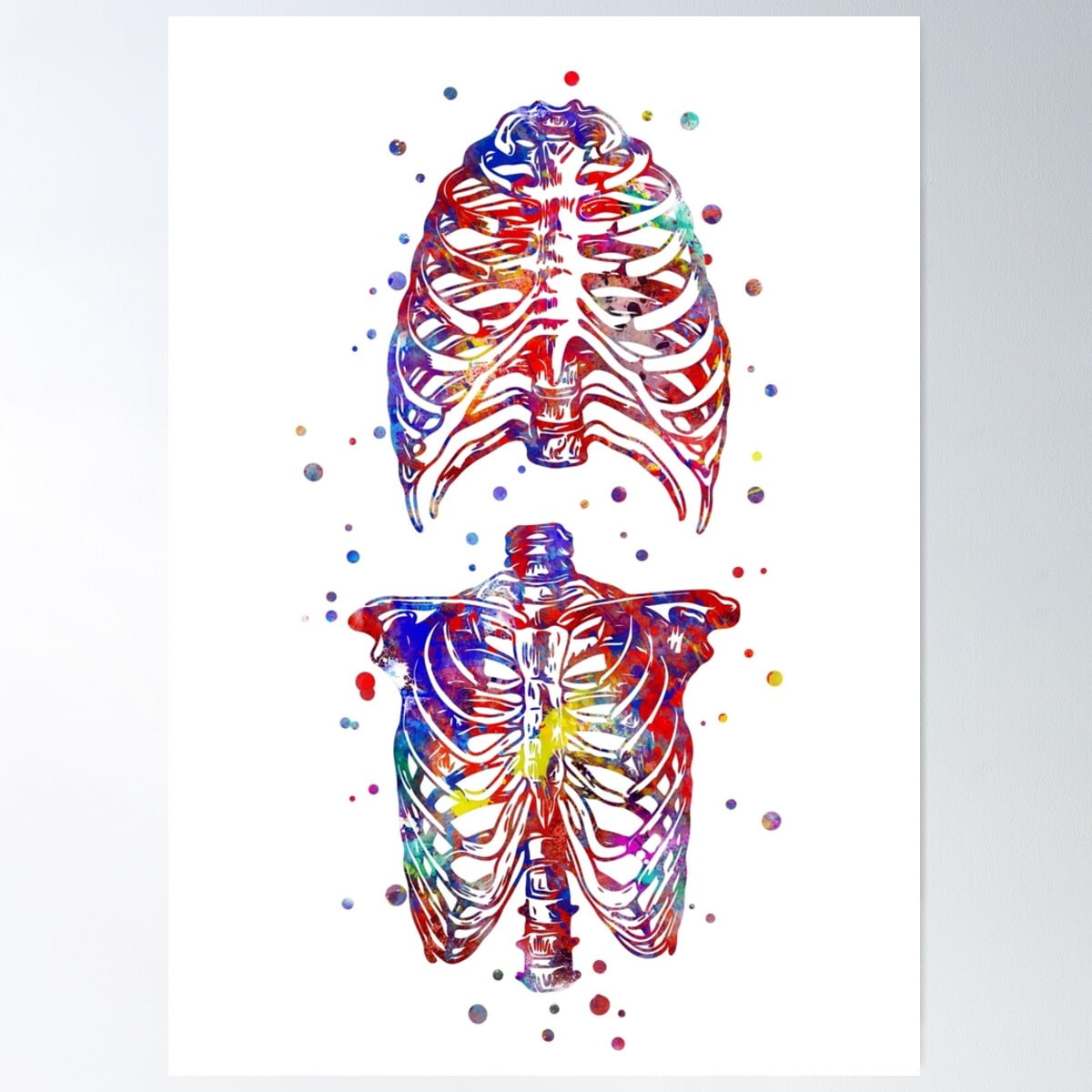 Skeleton Torso, Watercolor Skeleton Torso Poster Wall Art, Modern Wall ...