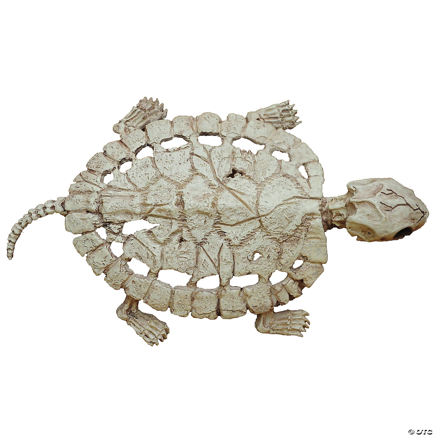 Outdoor Skeleton Turtle Animal Decor for Halloween, Approx. 2x4.5x7.75 ...