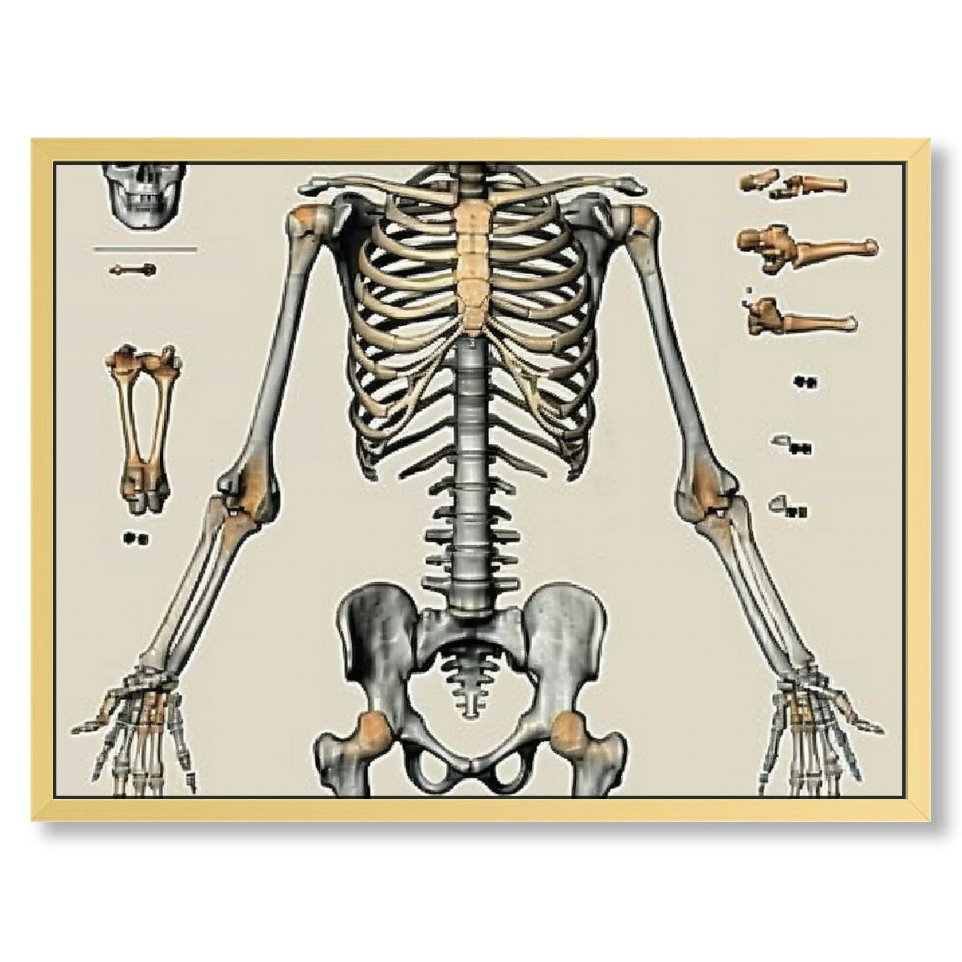 Skeleton Vintage Parchment Style Patent Wall Art Print or Doctors ...