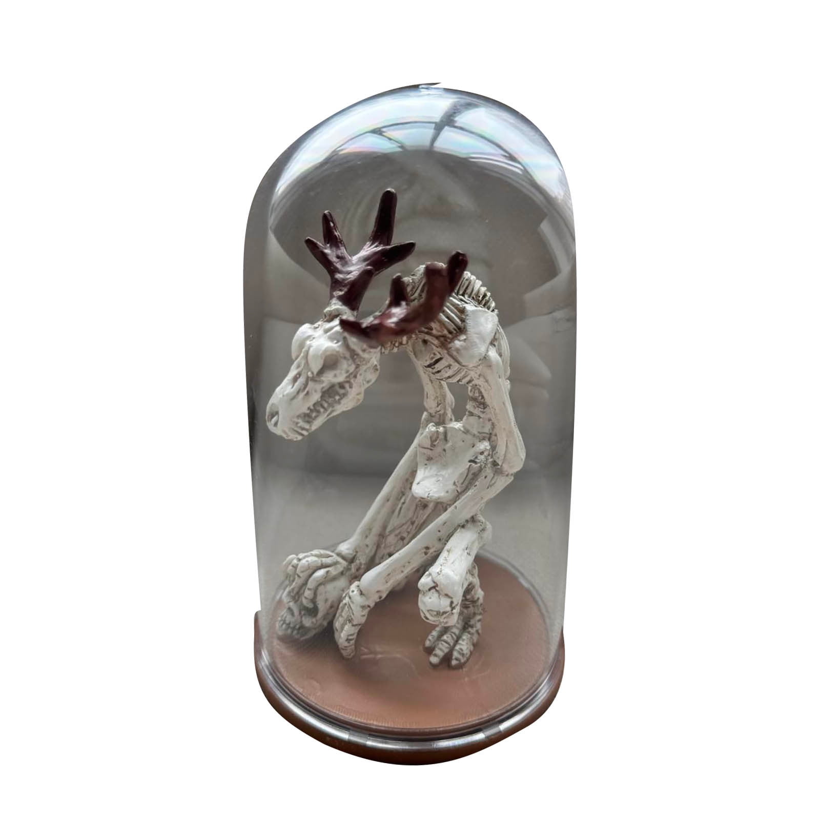 Skeleton in Glass Cloche Bell Jar Display Dome, Legendary Creature ...
