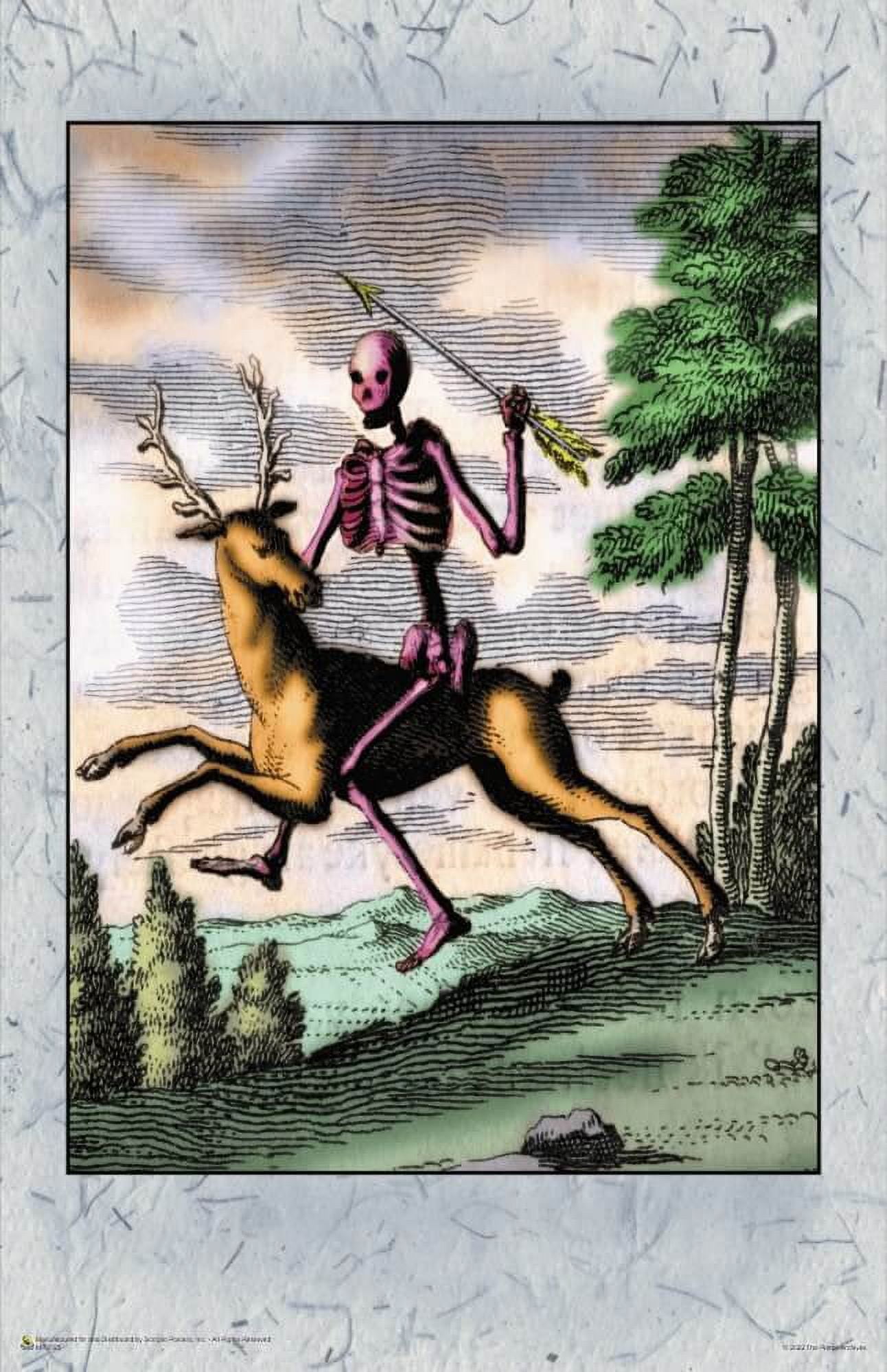 Skeleton on Buck Mini Poster 11" x 17" - Walmart.com