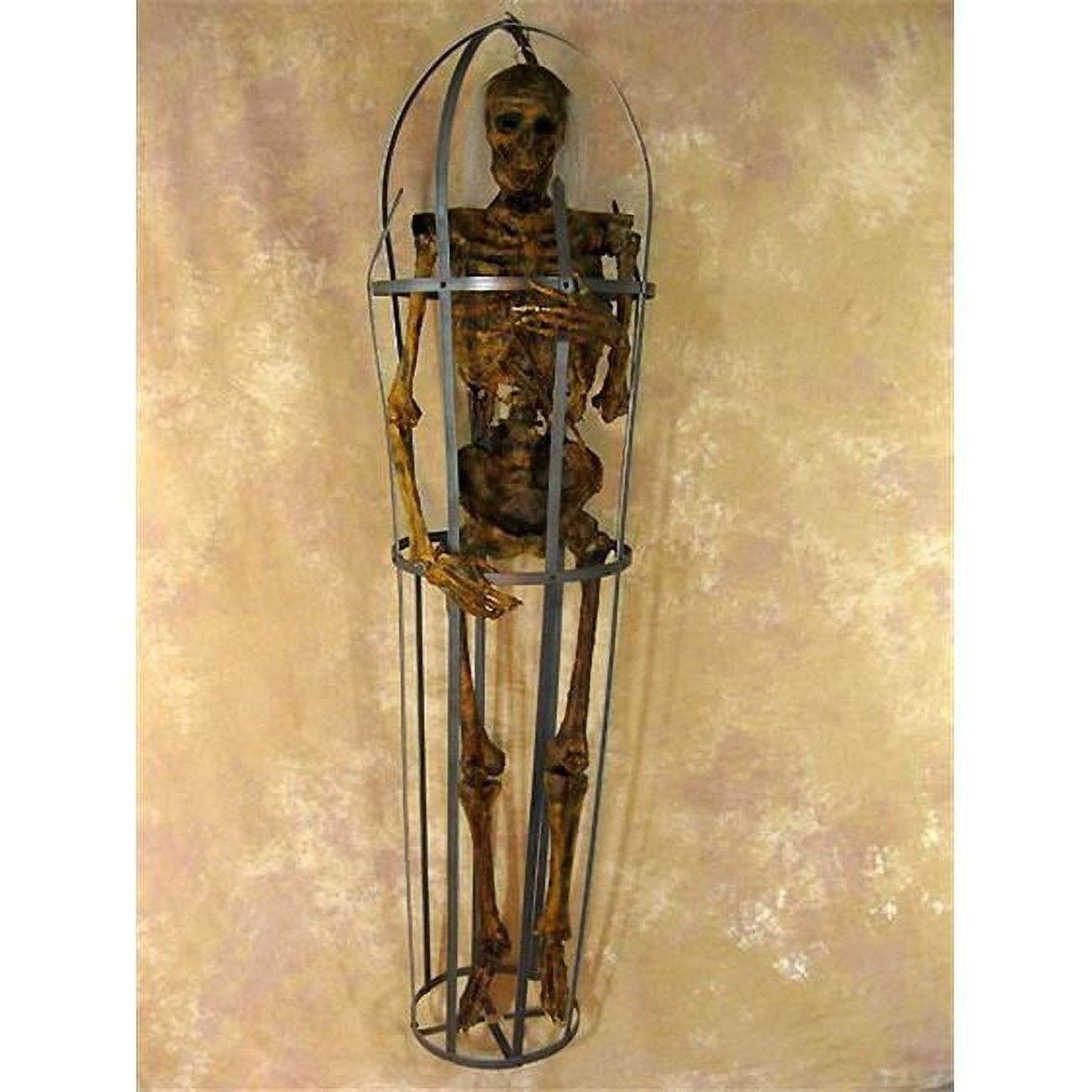 Skeletons & More CAGE-200C Life-Size Iron Skeleton Cage with Corpsed ...