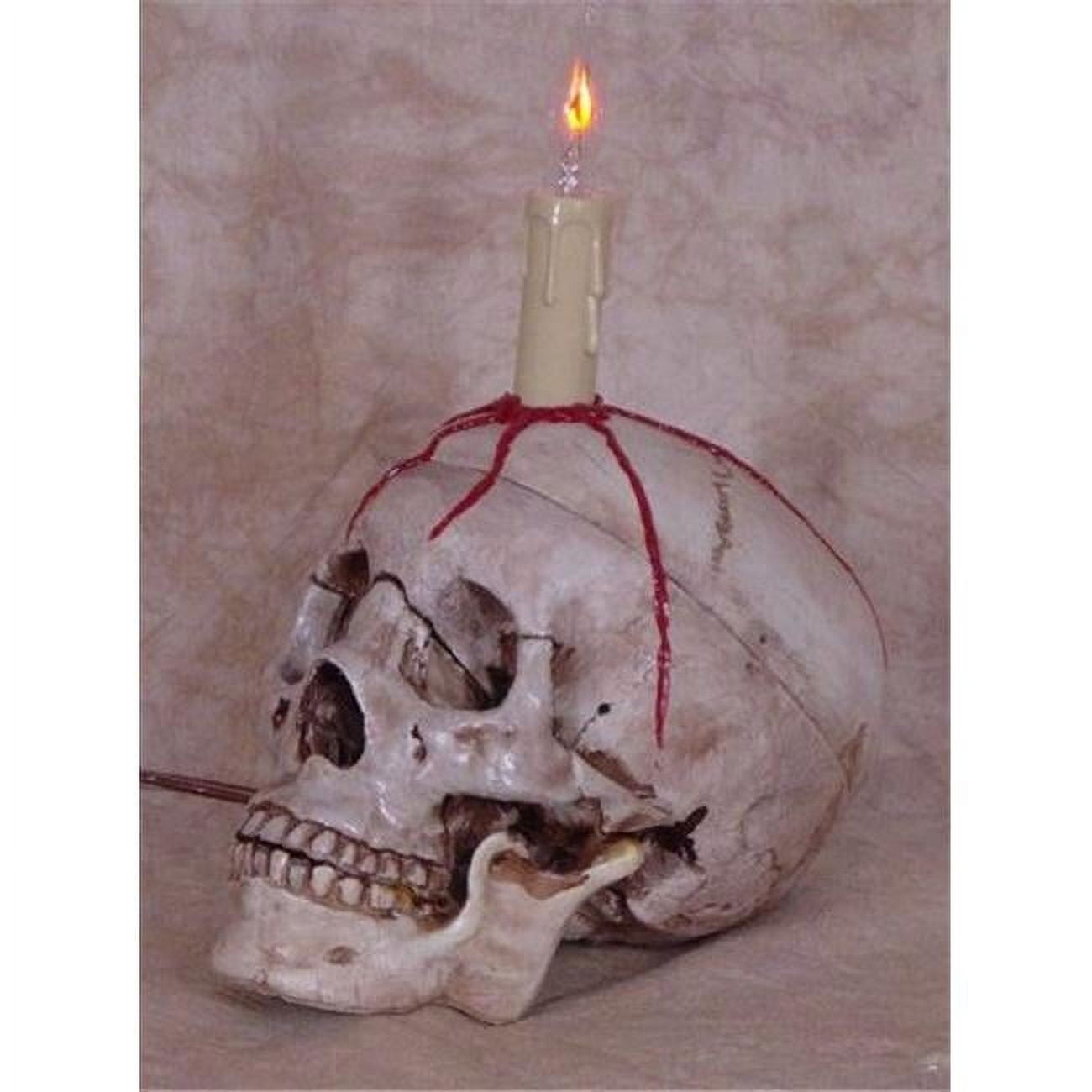 Skeletons and More DIS-300 Skull Display Blood Skull with candle ...