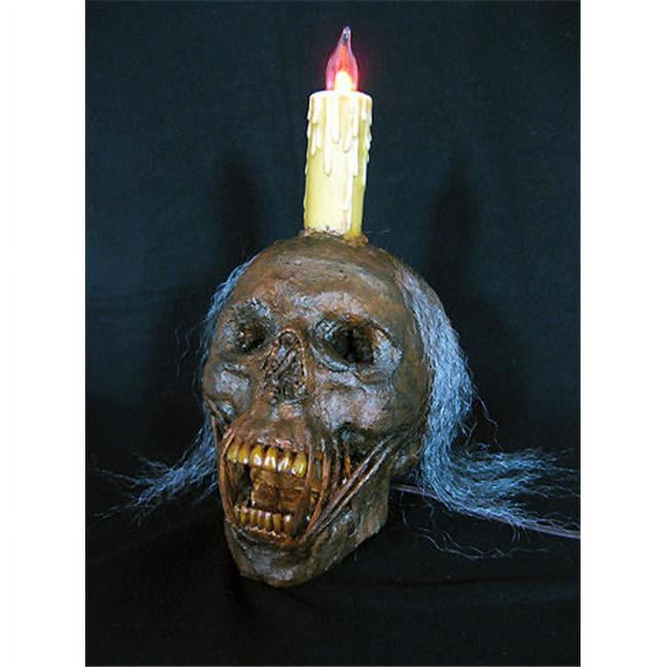 Skeletons and More Skull Display Corpse Head - Walmart.com