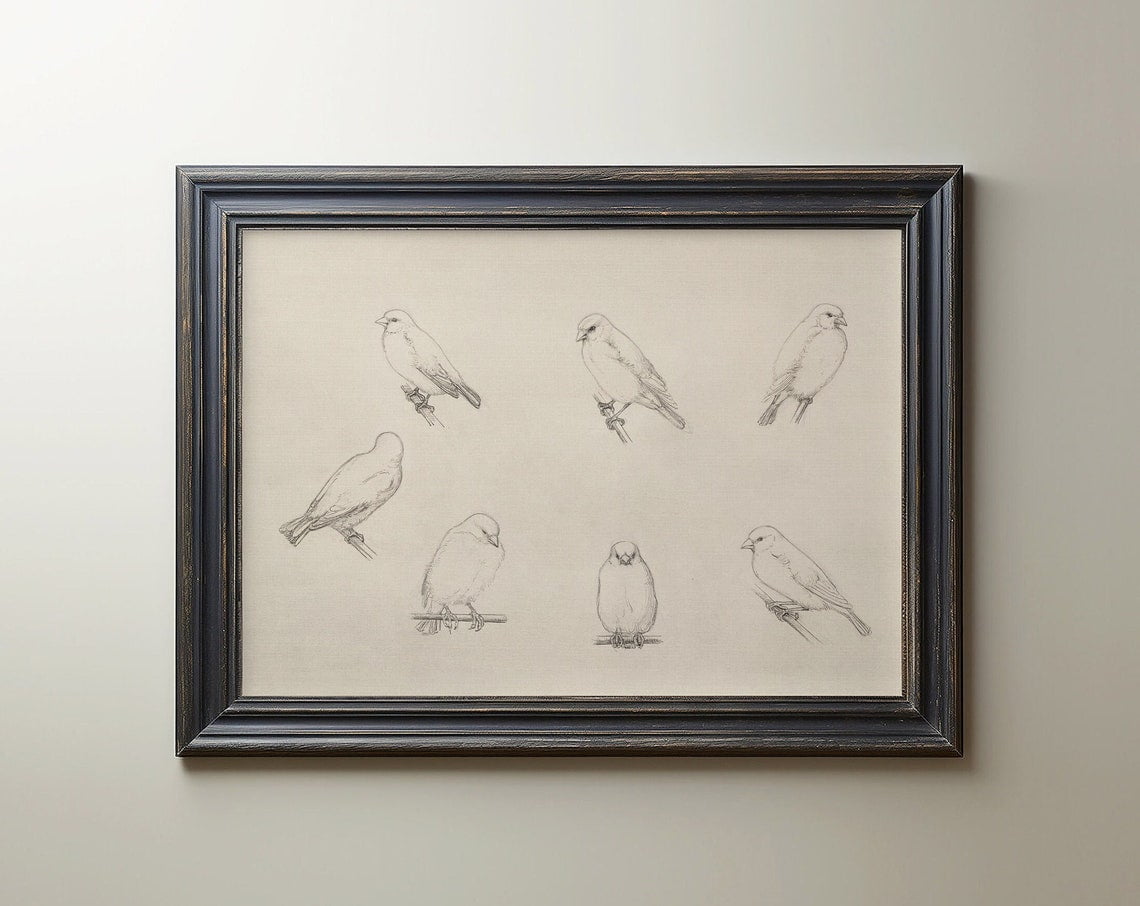 Sketch Of Canaries Drawing, Vinatge Birds Print, Vintage Animal ...