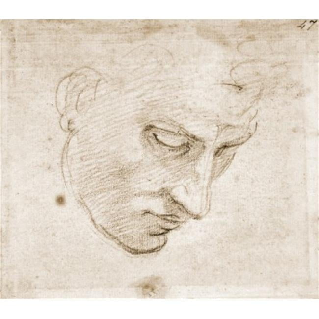 Sketch of Face by Michelangelo Buonarroti 1475-1564 Italy Florence ...