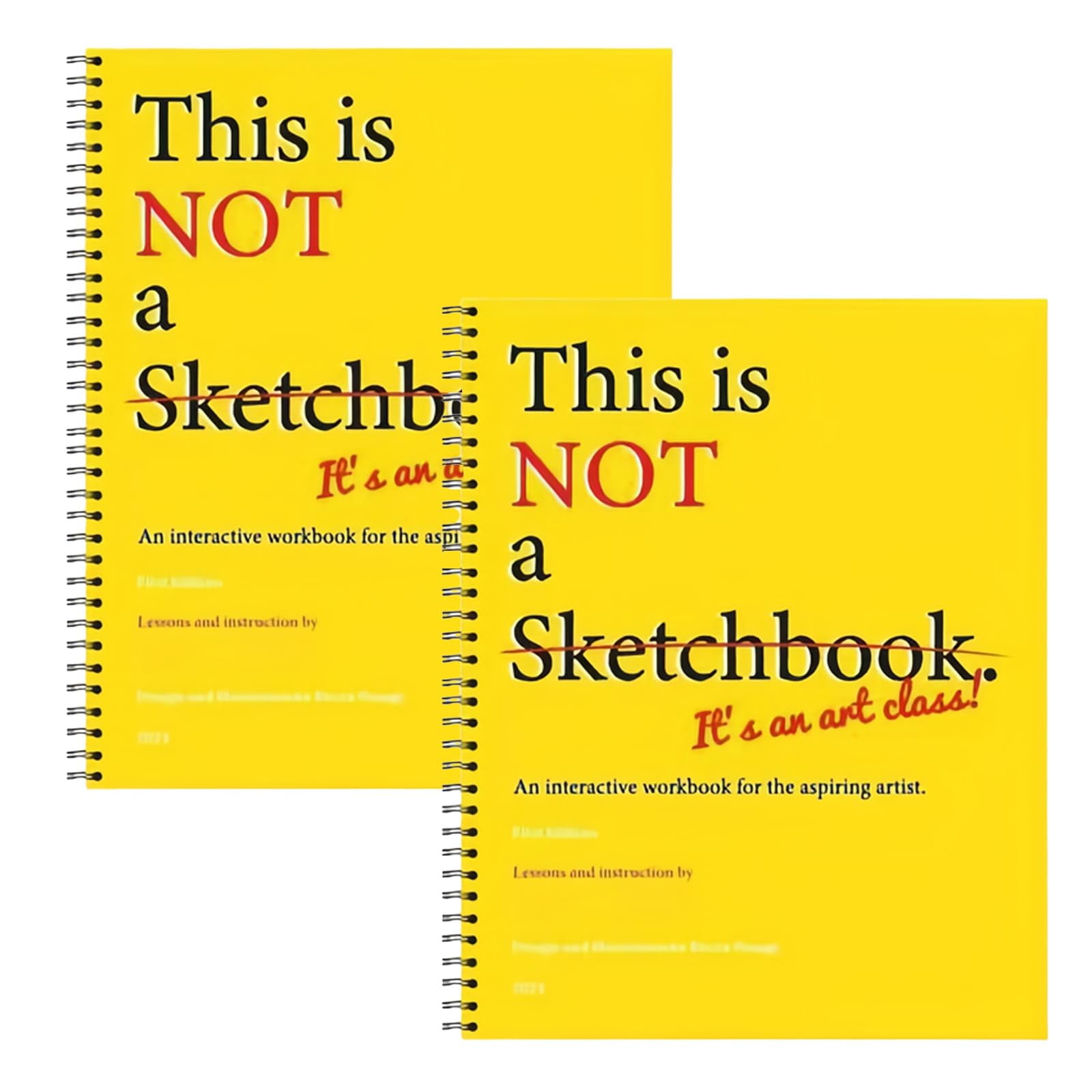 This is Not A Sketchbook, It's an Art Class How to Draw Book Easy Step ...