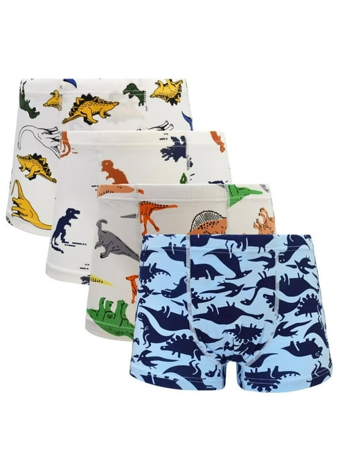 Boys Underwear, Cute Pizza Green Leaves Comfort Cotton Breathable Boy's ...