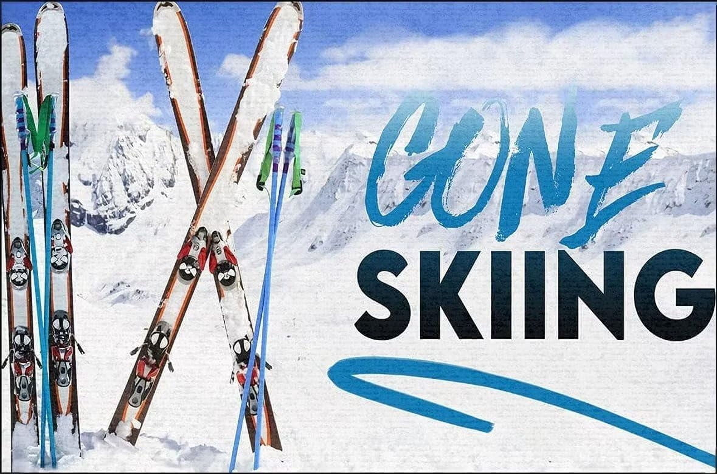 Skiing Diamond Art Kits For Adults,5D Diamond Art For Beginners,Gone Skiing Sport Lover DIY ...