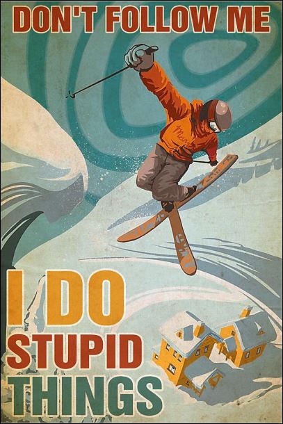 Skiing don't follow me i do stupid things poster 16 x 24 Inch Poster ...