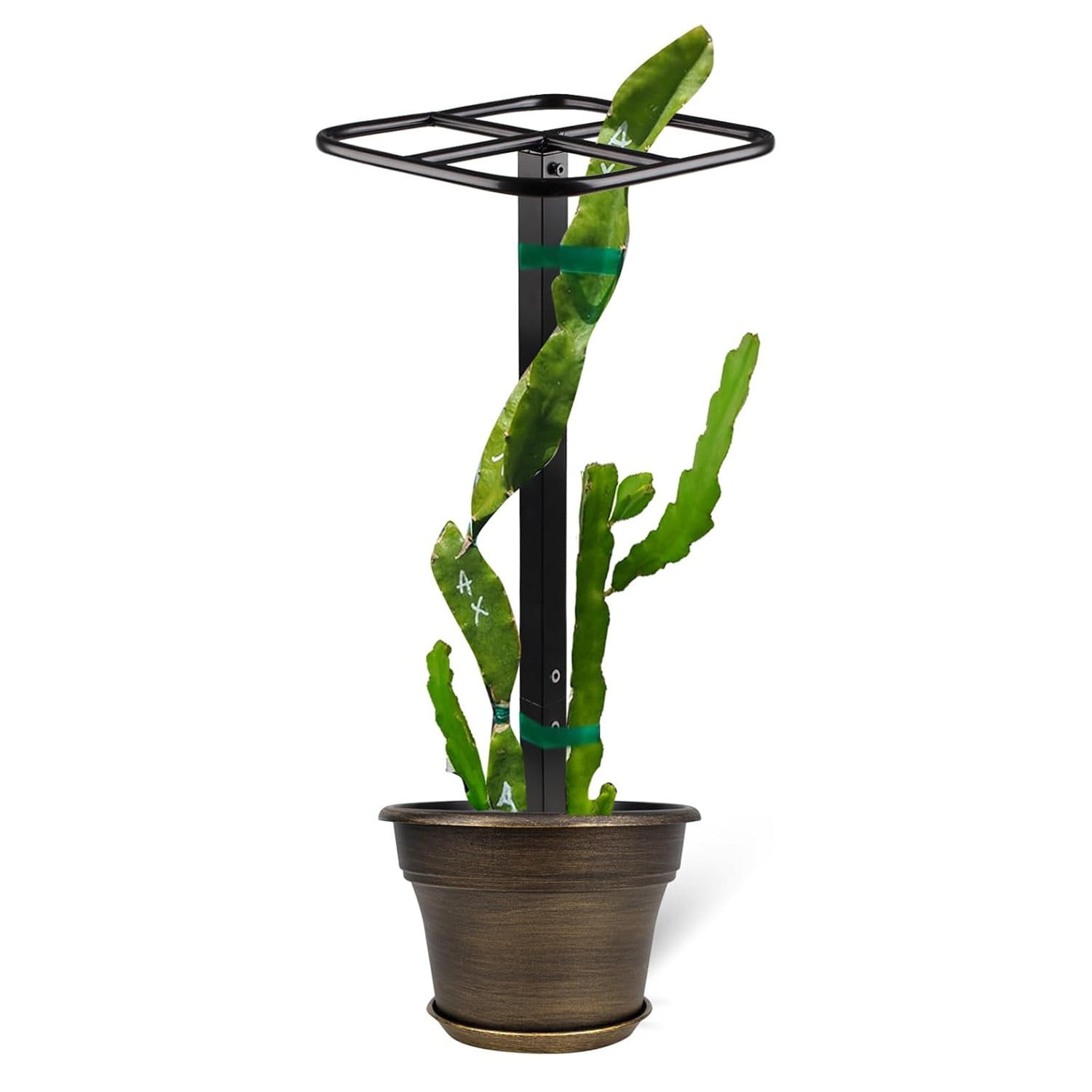 Skimskl Fruit Pergola, Sturdy Vertical Support Frame, Robust Metal ...