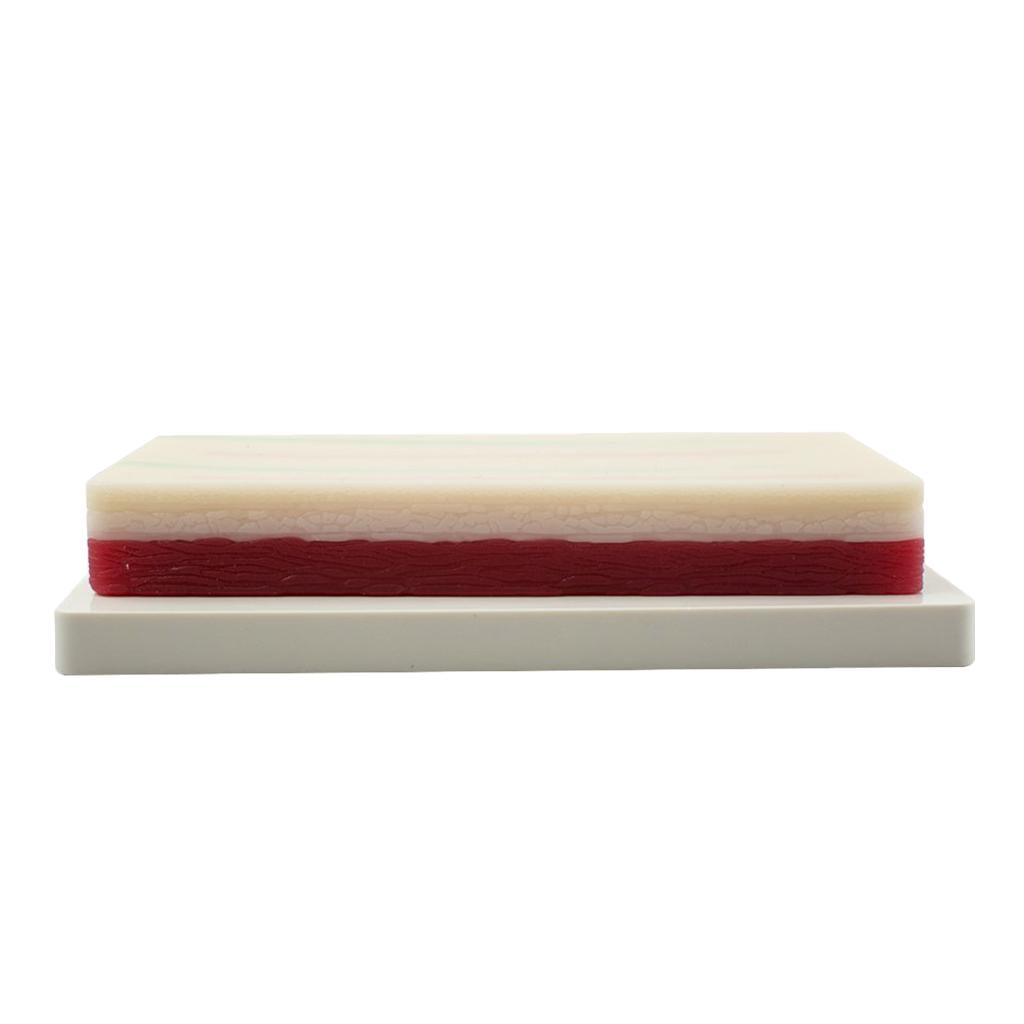 Skin Sew up Practice Skin Simulation Exercises Model 19.5×11.5×3.5cm ...