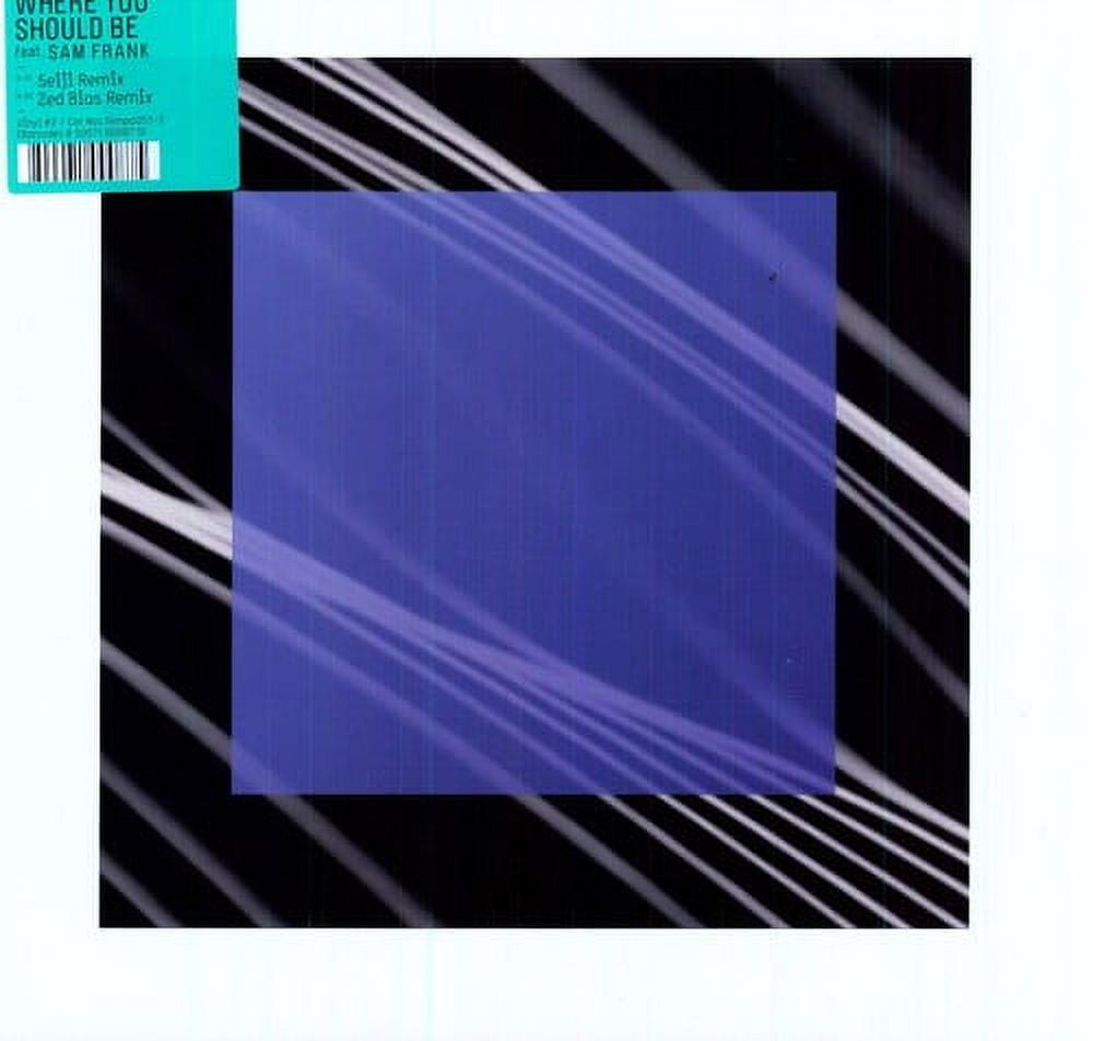 Skream - Where You Should Be Part 2 - Electronica - Vinyl - Walmart.com