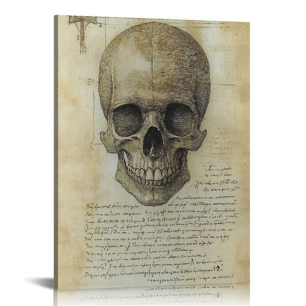 Skull Anatomy Da Canvas Wall Art Canvas Print Famous Art Painting ...